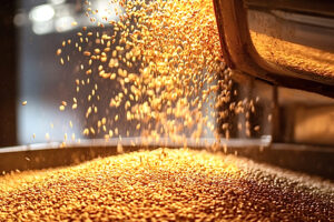 From Field to Table: How Sortex Machines Are Revolutionizing Grain ...
